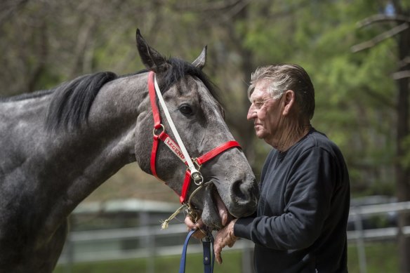 Screening process: TV action won't be the same as Trekking north for ...