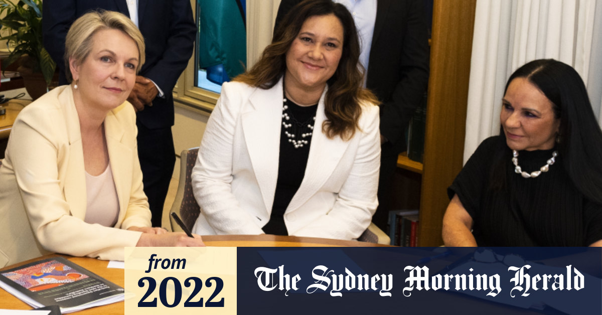 New heritage laws to stop another Juukan Gorge tragedy