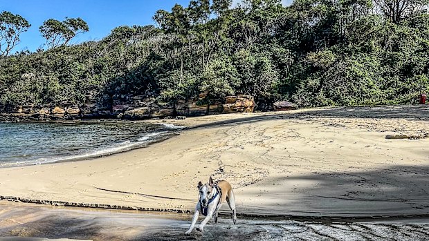 Michael Howard | WAtoday