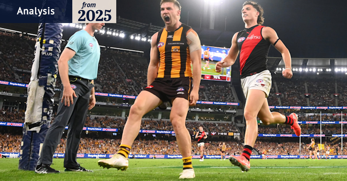 AFL 2025: Hollywood Hawthorn Hawks top the ladder after beating ...