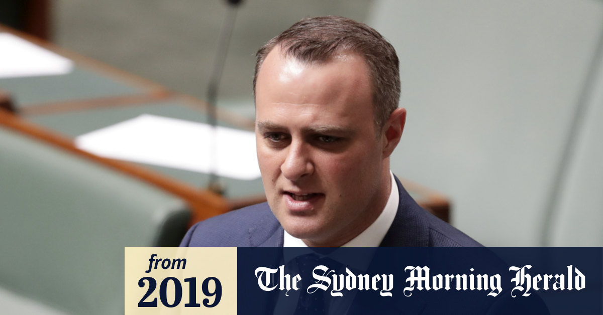 Speaker clears Tim Wilson but warns of MP's 'damaging' conduct