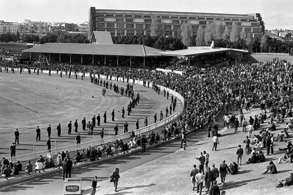 Rugby union: A Wallabies voice from the apartheid era reminds us sport ...