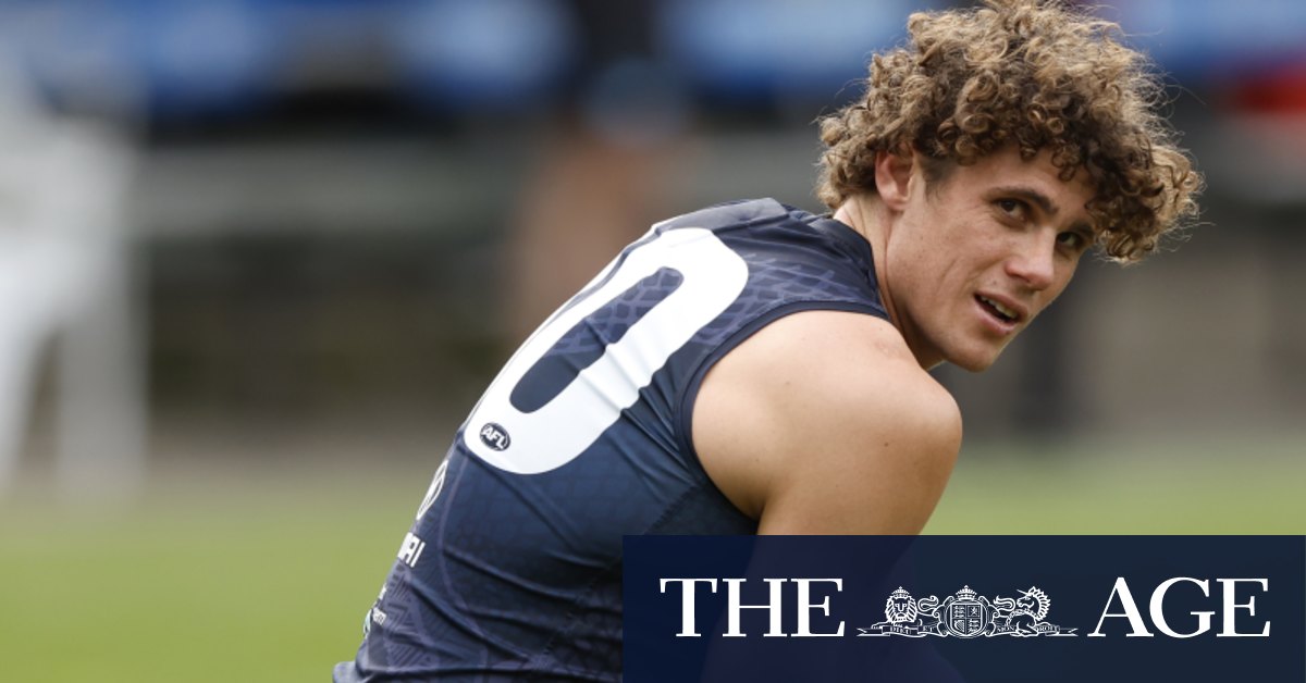 Petracca faces second surgery as investigation into injury response ...