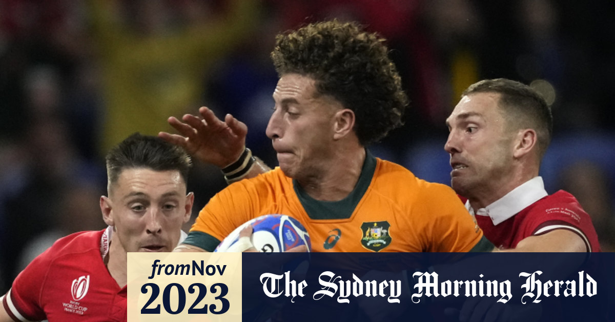 NRL 2024: Sydney Roosters to meet with rising Wallabies star Mark ...