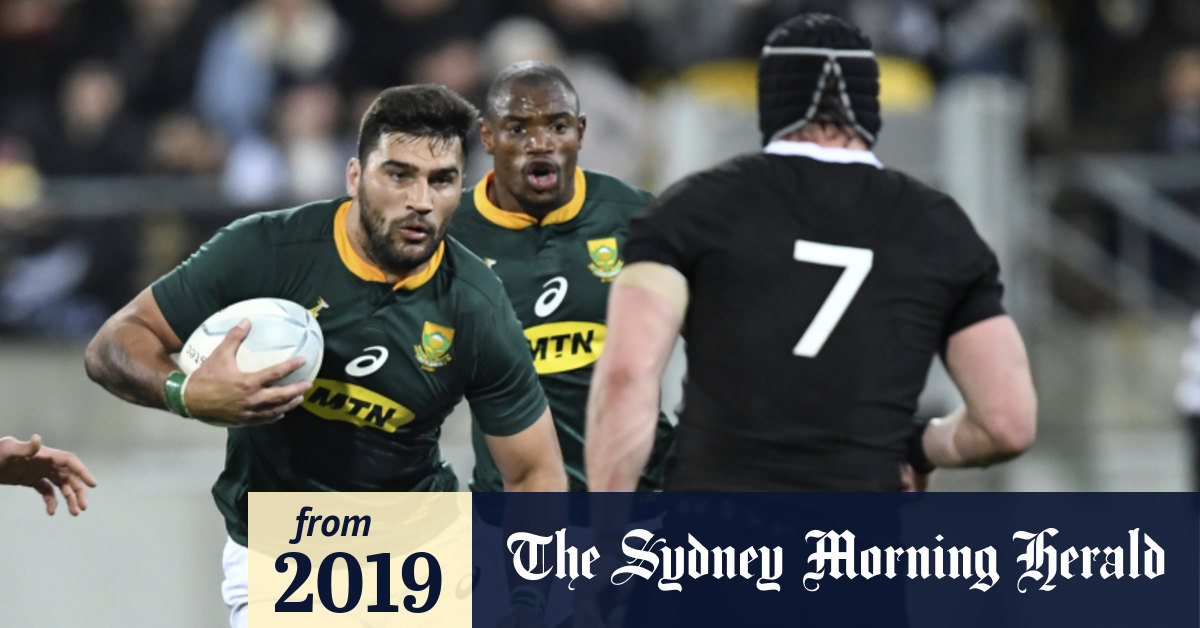 Rugby Championship 2019: Springboks make statement with All Blacks draw