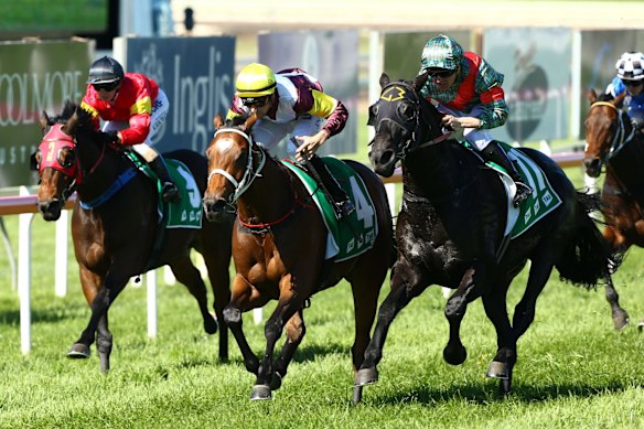 Race-by-race tips and previews for Tuesday’s Scone meeting