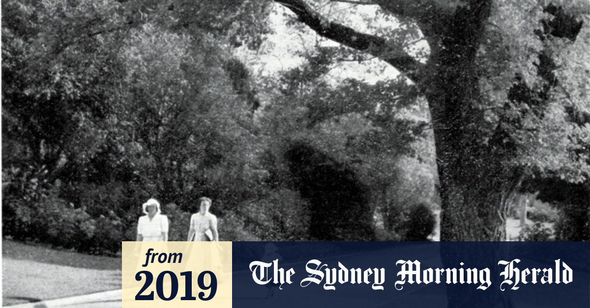 La Trobe's time-travelling tree