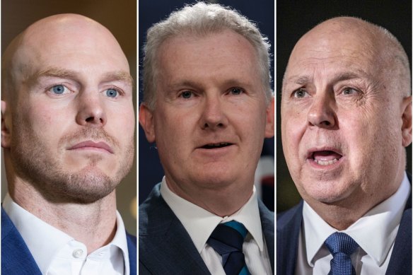 Victorian Treasurer Tim Pallas to petition federal Senate crossbencher ...