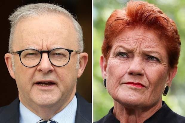Anthony Albanese’s ‘it’s the economy, stupid’ response to One Nation’s ...