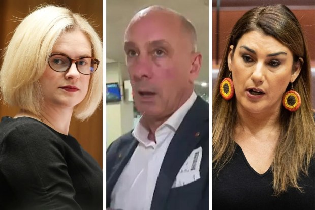 Allegations Against Senator David Van By Lidia Thorpe And Amanda Stoker