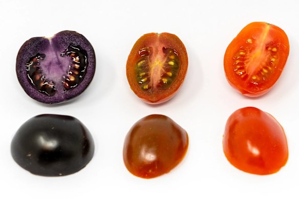 Purple tomatoes: The genetically modified food experiment about to hit ...