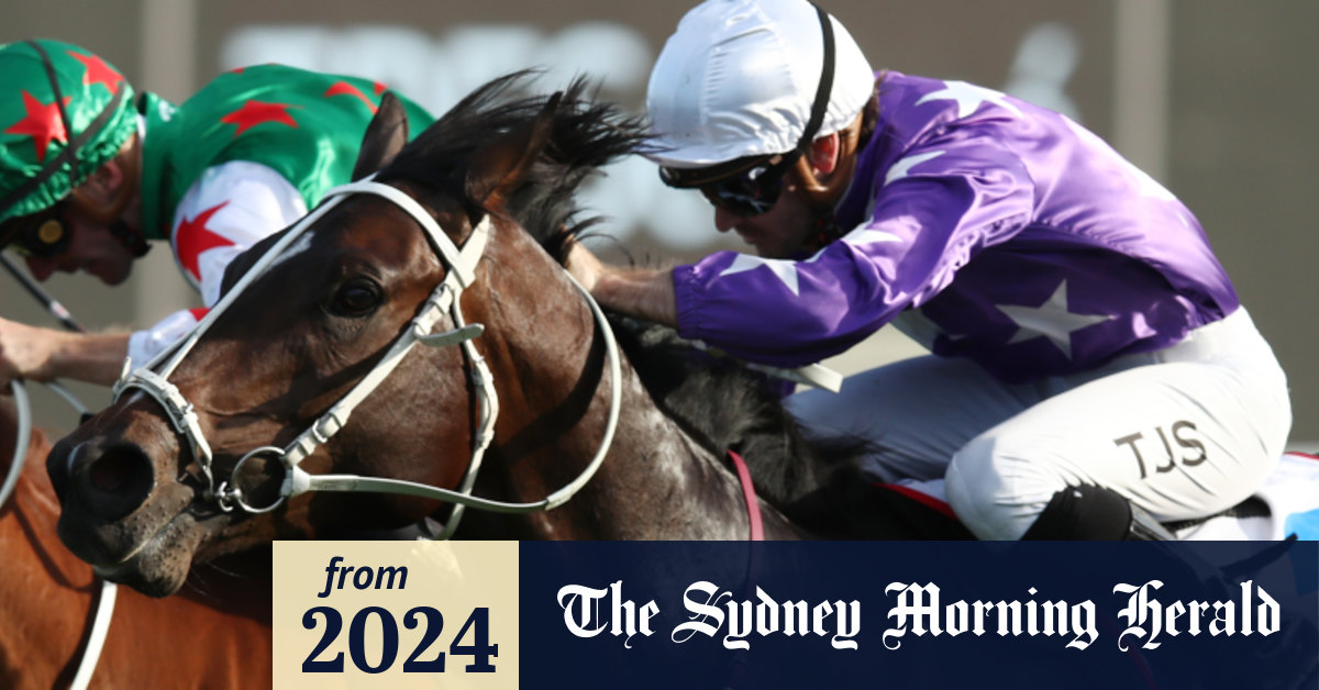 Chrysaor set to shine in Millions as Martin searches for next star