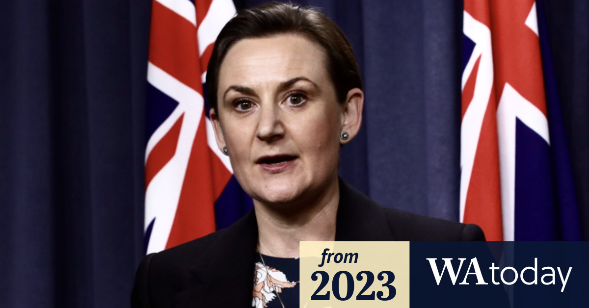 Perth women’s and babies’ hospital: New mums and bubs hospital ‘may ...