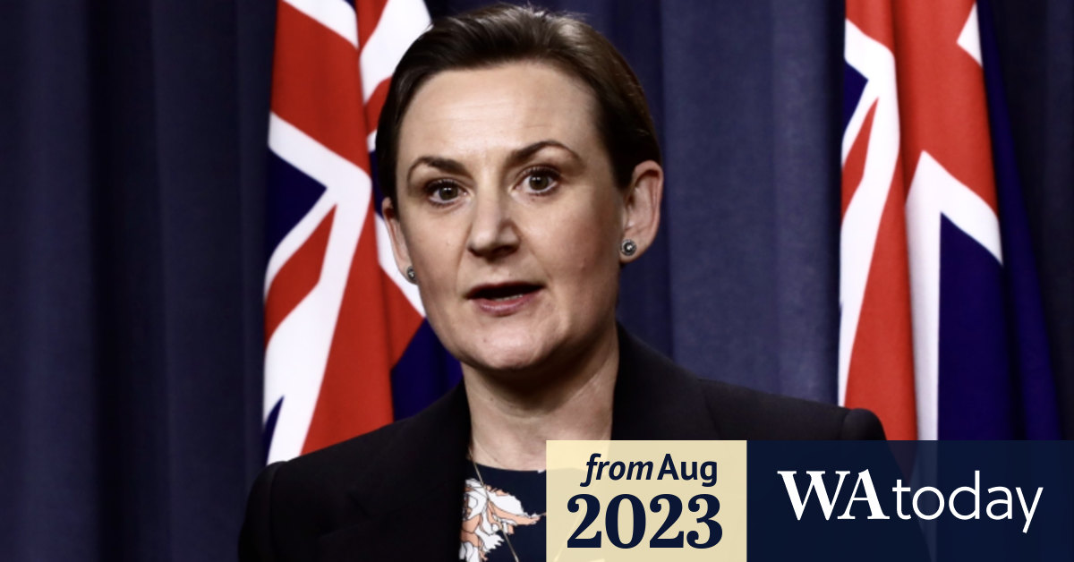 Perth women’s and babies’ hospital: New mums and bubs hospital ‘may ...