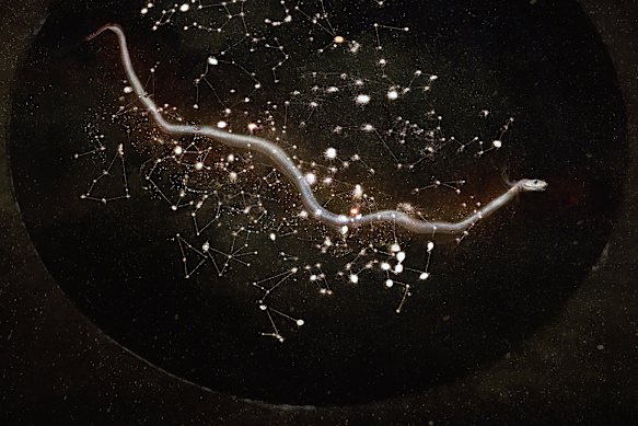 A visionary world of star maps, spider threads and animal spirits