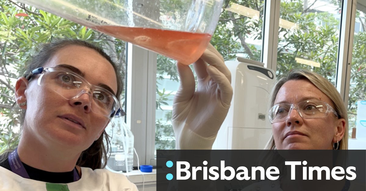 New JEV vaccine adds to arsenal to fight deadly mosquito-borne virus