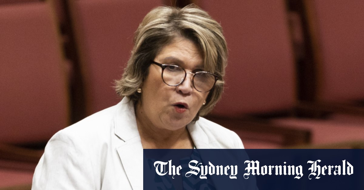 Voice to parliament: Kerrynne Liddle backs Peter Dutton on Voice