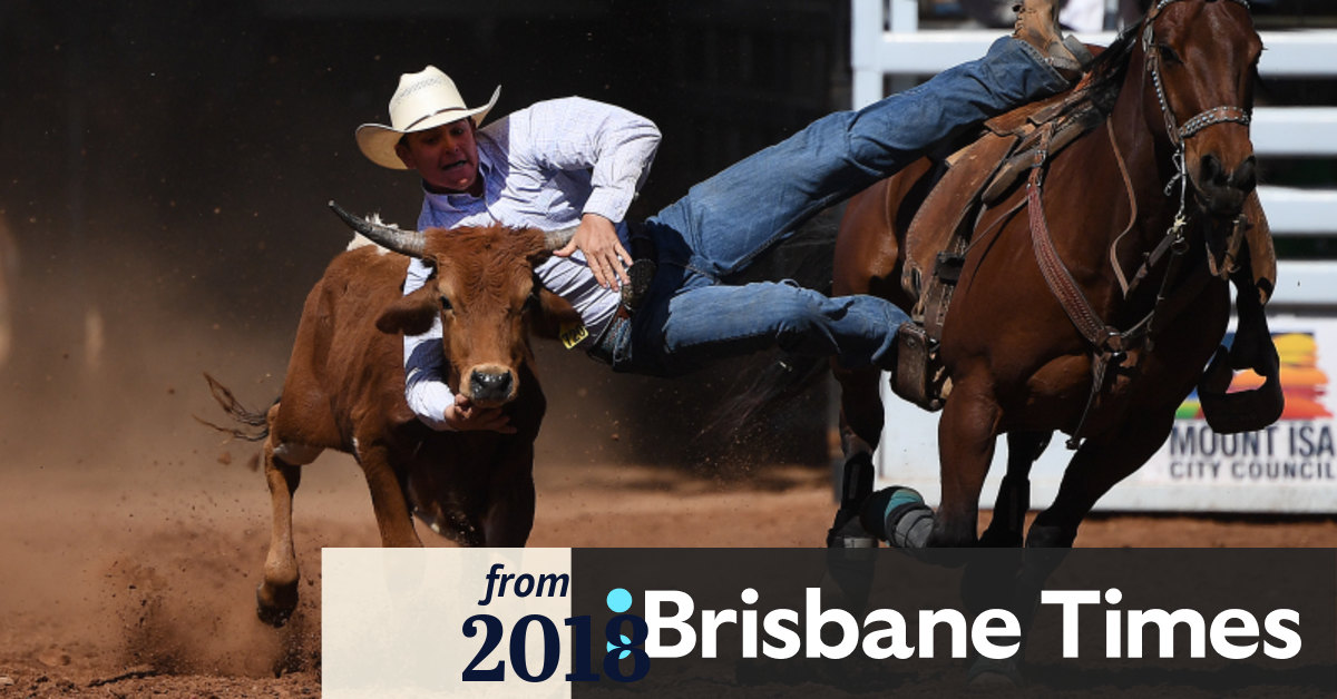 Animal deaths at Queensland rodeo prompt ban call