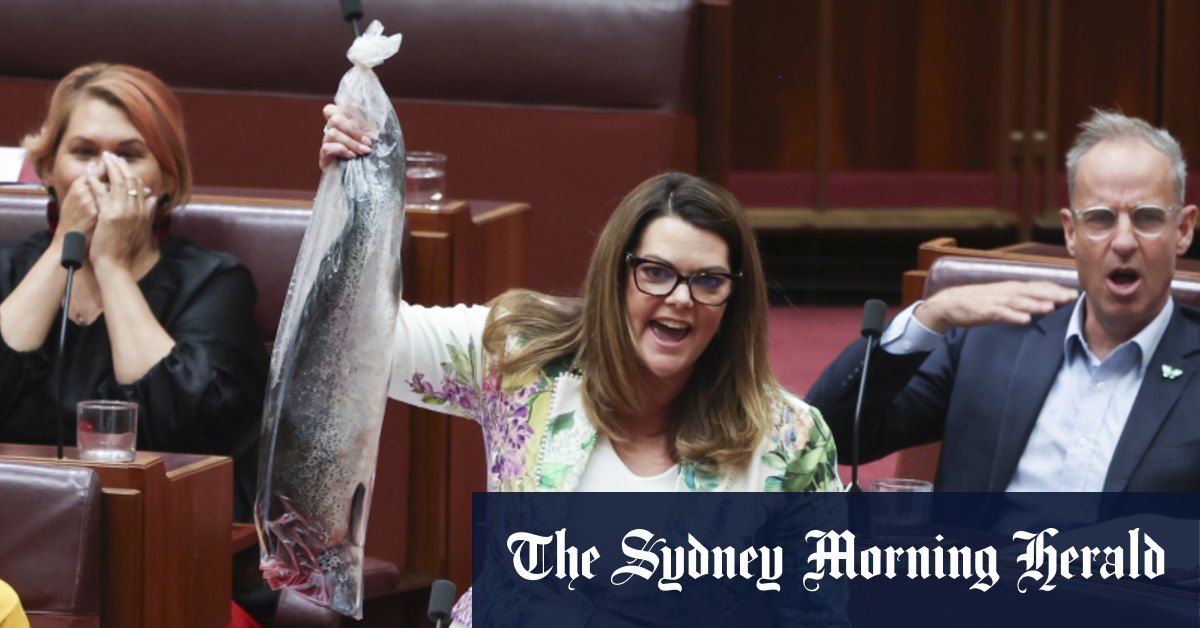 Dead fish in question time: Sarah Hanson-Young holds salmon to ...