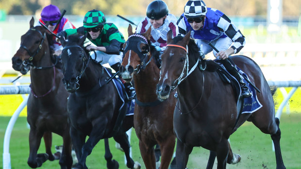 Gibbons races clear with four-timer at Randwick
