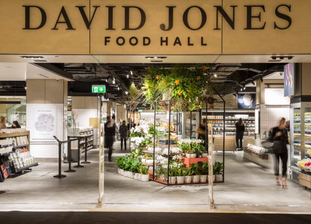 David Jones shrinks gourmet food business