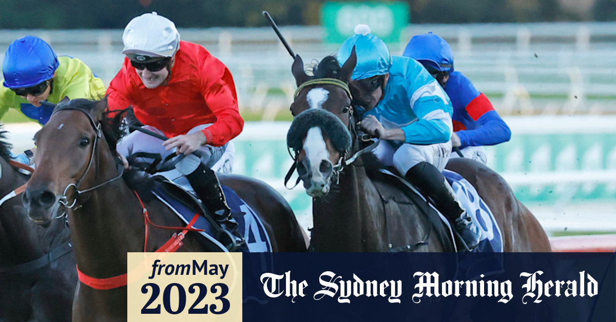 Scone Cup races Friday tips and full preview