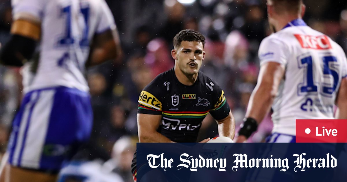 Panthers vs Bulldogs: Score, Odds, Watch, Team News & Info – Archyde