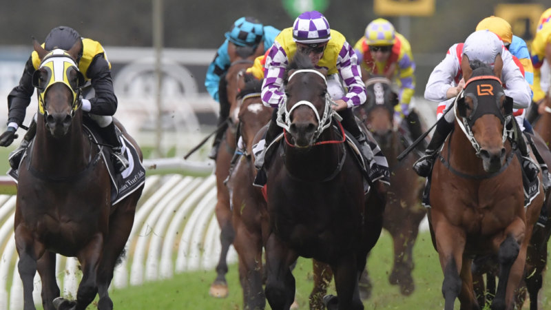 Lean Mean Machine dominant in Run To The Rose
