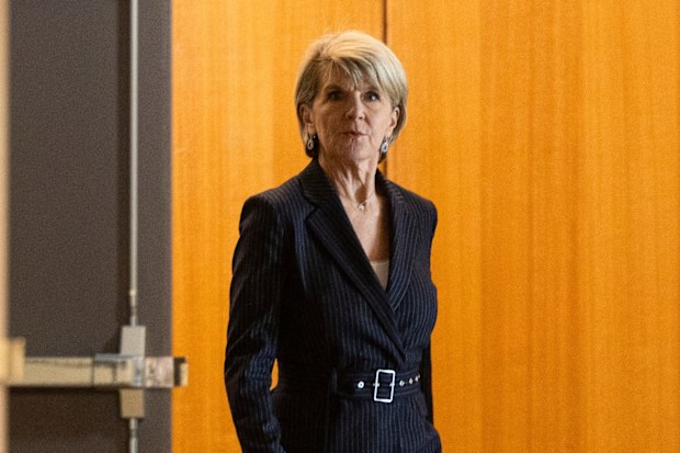 ANU’s ‘catastrophic failures’ happened on Julie Bishop’s watch, says ...