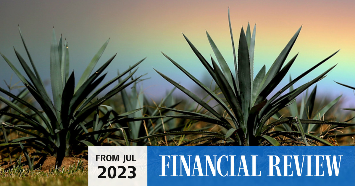 Top Shelf International undergoes another capital raise to extract ...