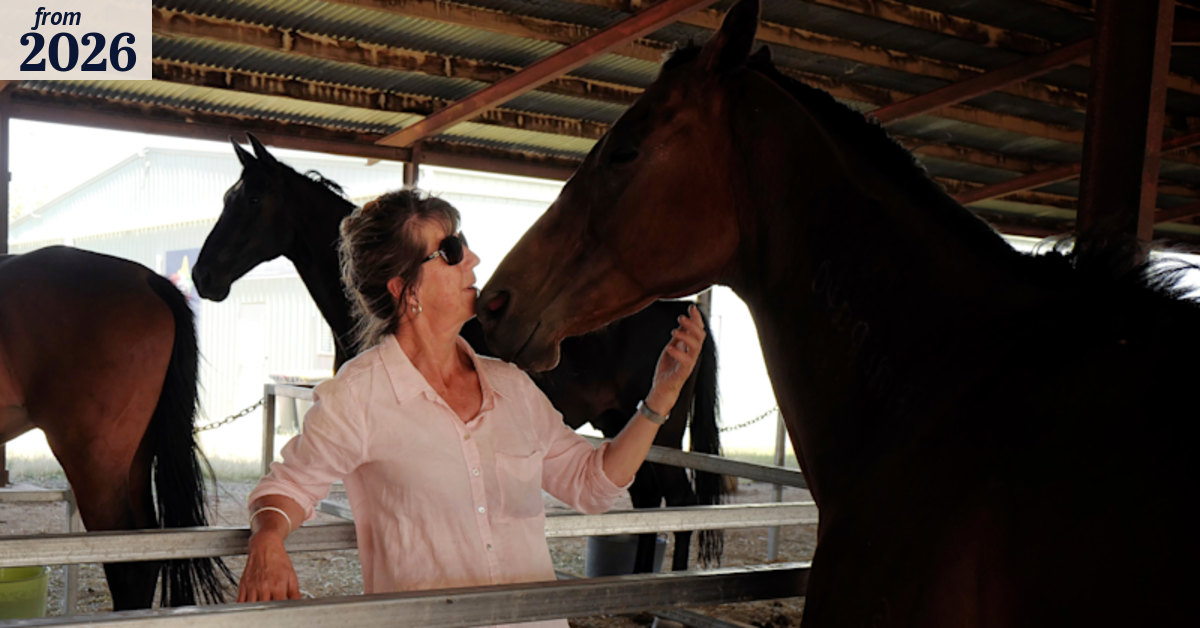 Victoria bushfires: Horses and pets take refuge with residents in Mansfield