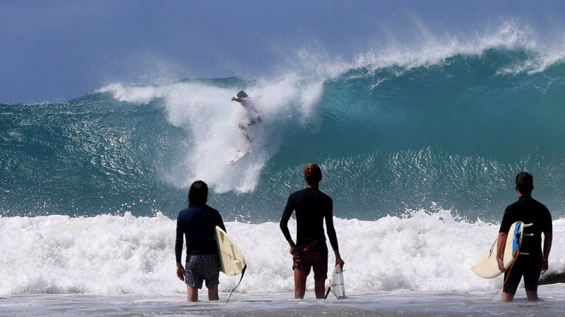 Gold Coast's erosion-prone Palm Beach gets artificial reef protection