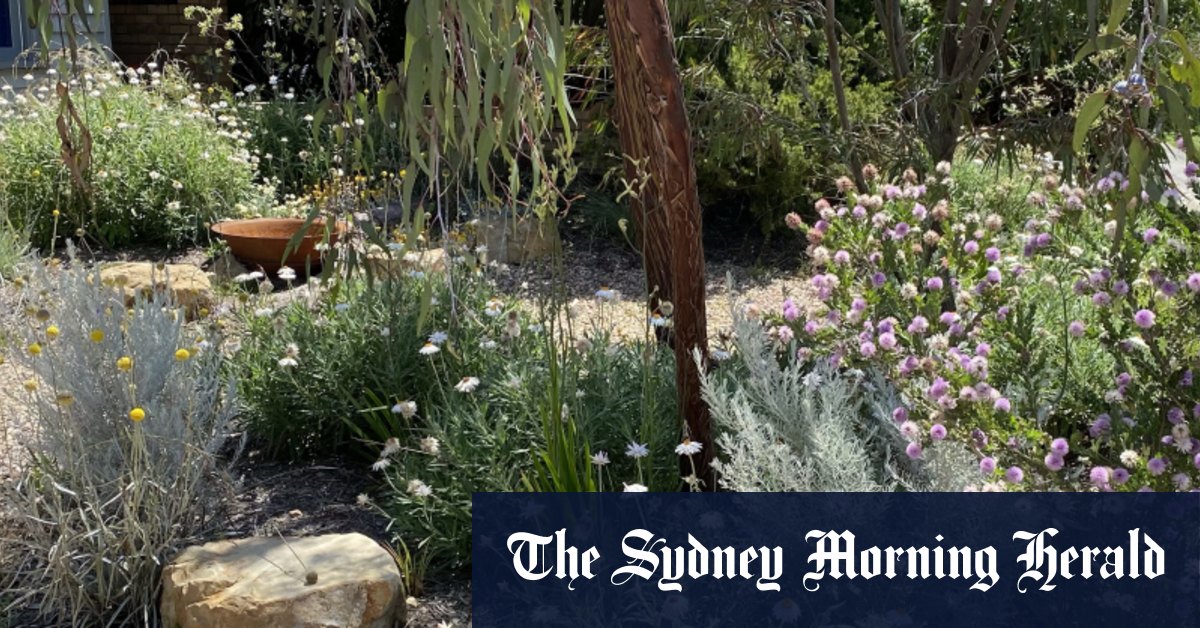 How to create a native garden that birds and people will love