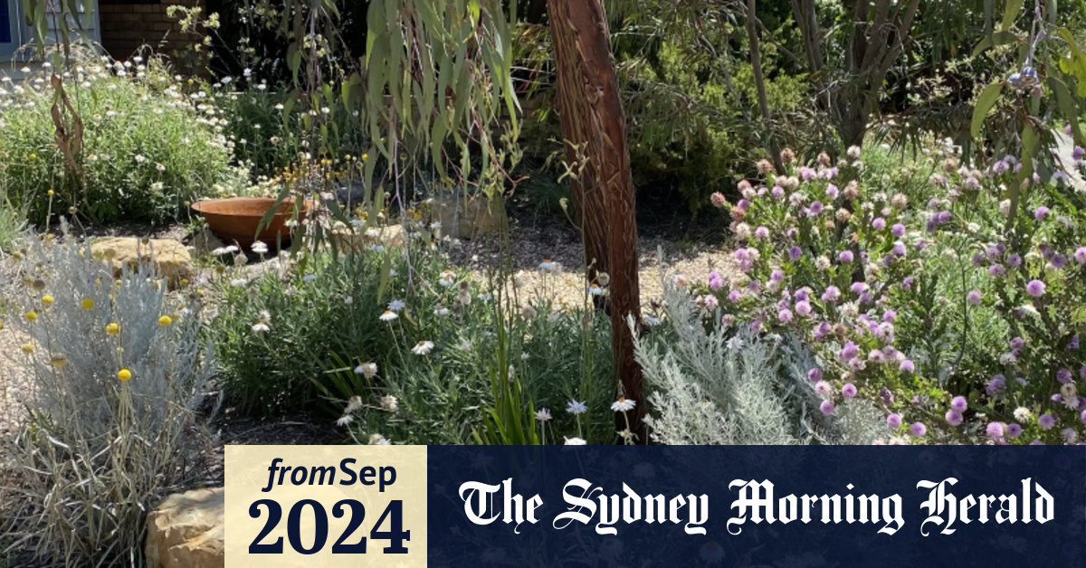 How to create a native garden that birds and people will love