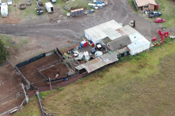 Aussie Farms prepared to risk jail over secret footage of NSW knackeries