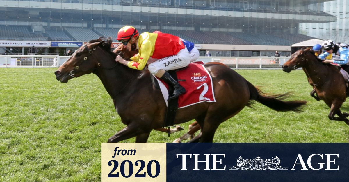 Manikato an option for rising sprinter California Zimbol