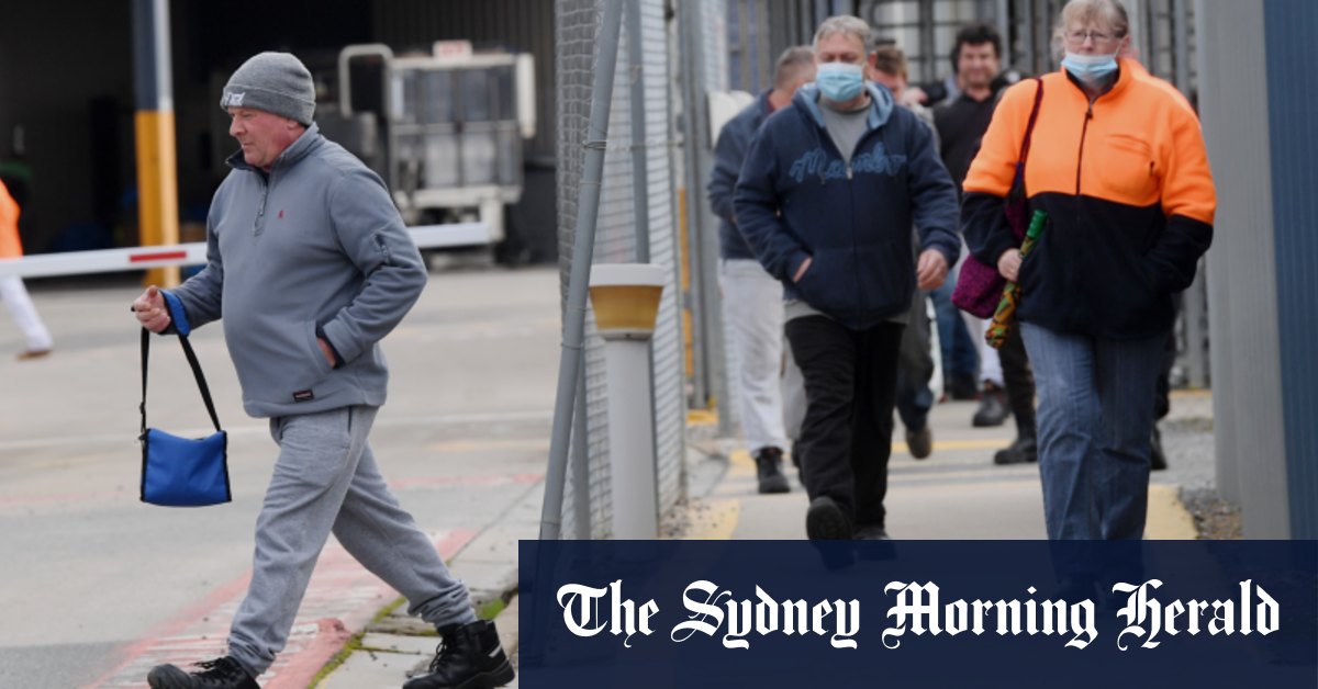 Energy crisis: Manufacturing industry, union slam Labor’s deal with gas ...