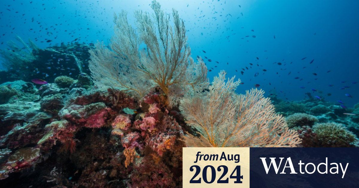 Woodside’s Browse gas project: Carbon storage sets approval back to ...