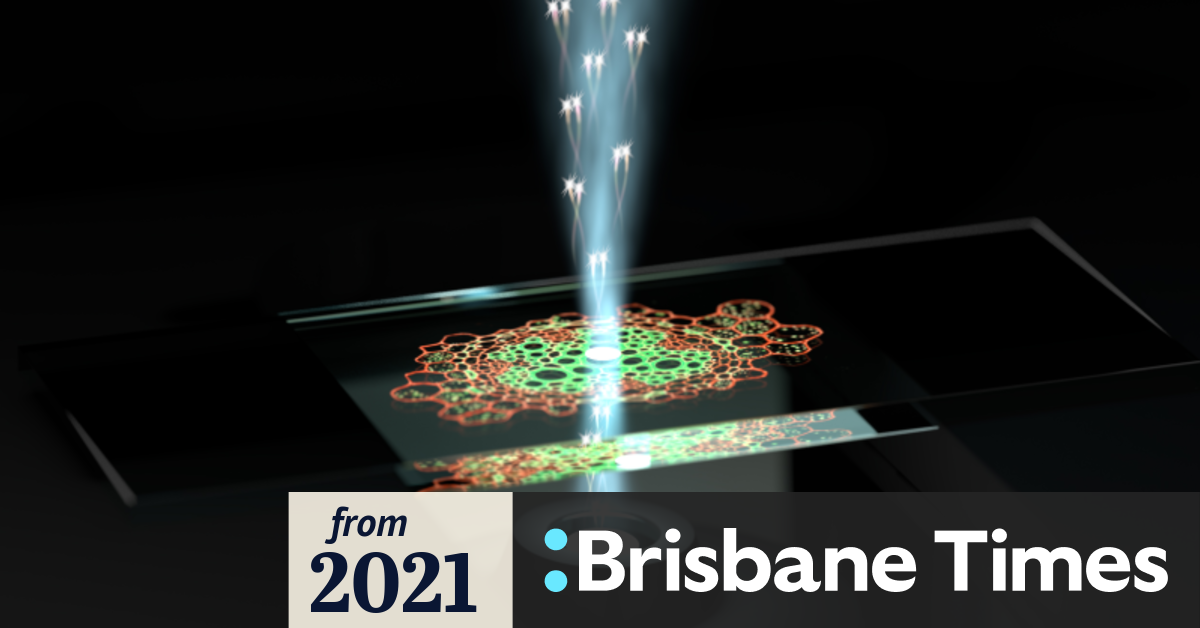 Researchers develop quantum microscope that see with less light