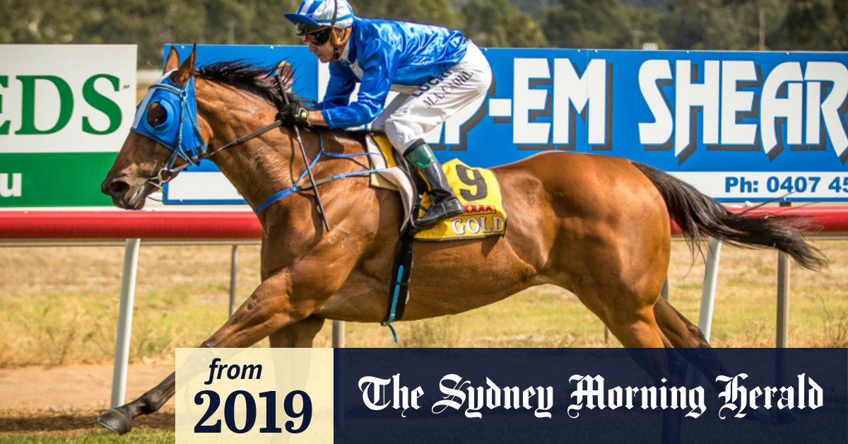 Tips and race-by-race preview for Dubbo on Sunday