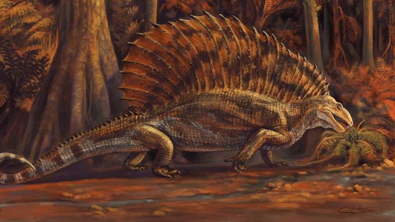 Selective vegetarian: earliest herbivorous reptile fossil found