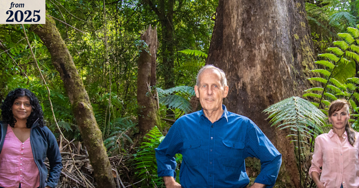 Back to basics – and familiar faces – as Greens eye balance of power