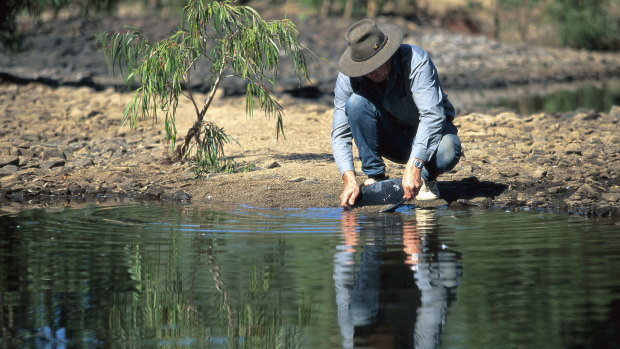 Go for gold: Government encourages festive fossicking