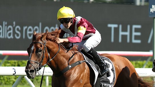 O’Shea confident Guineas form has Linebacker ready to shine in Doncaster