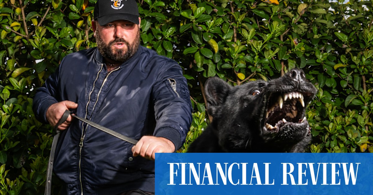 Demand for guard dogs, private security surges among wealthy amid ...