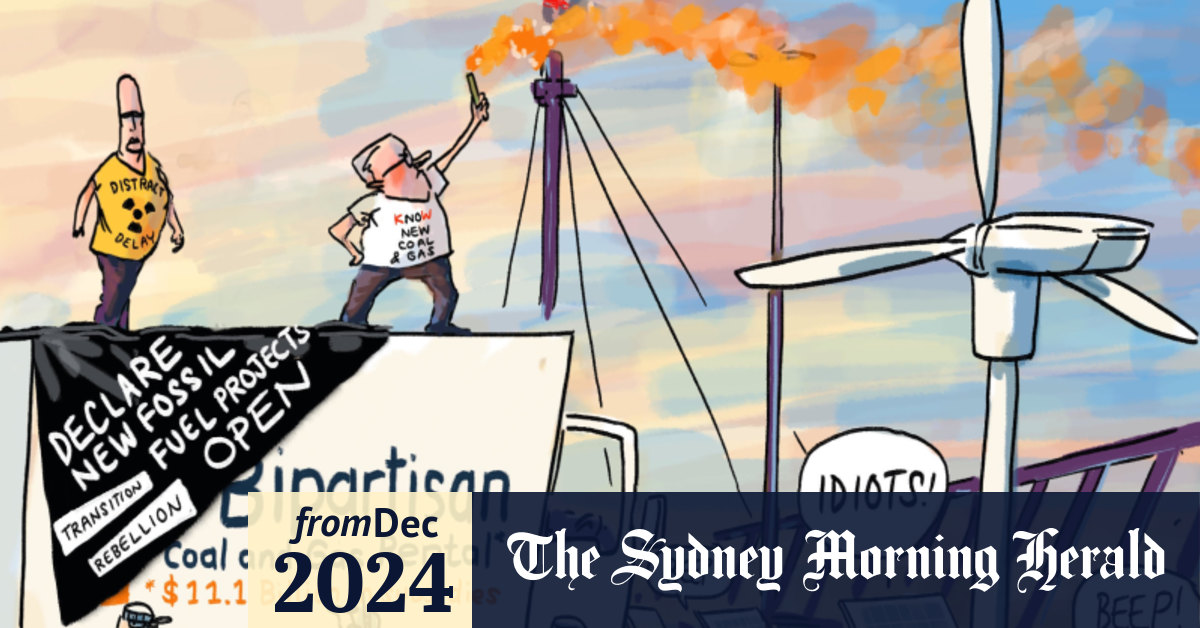 Best of cartoons, December 24, 2024