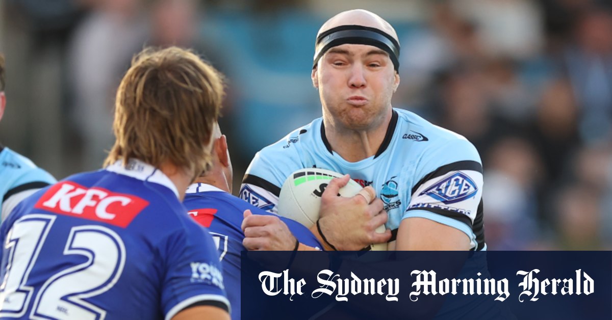 NRL 2024: Cronulla Sharks cult hero Tom Hazelton has a nickname for the ...