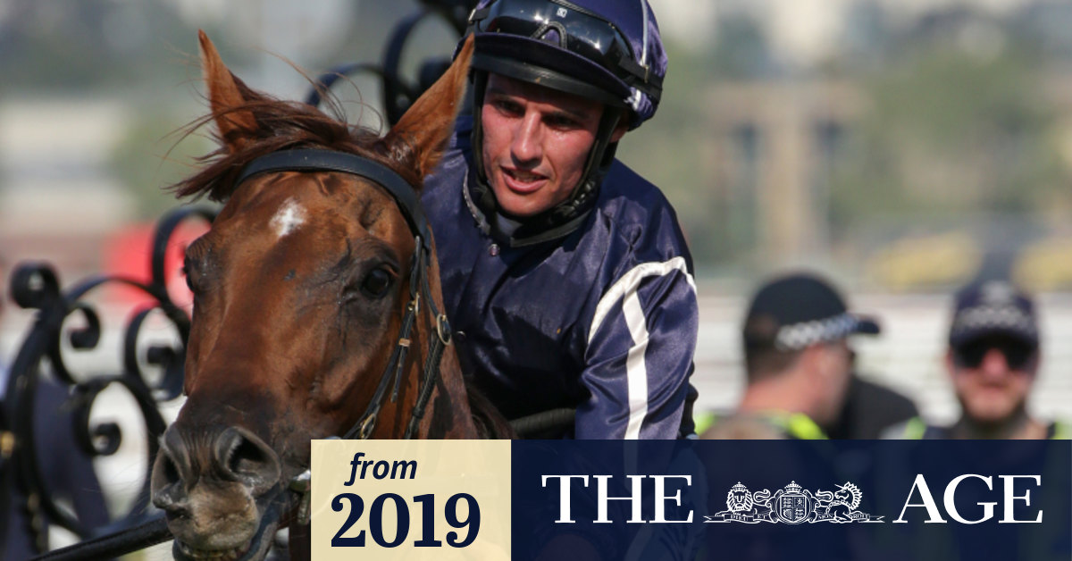 Spring Racing Carnival: Patrick Payne plays down Widgee Turf’s chances ...