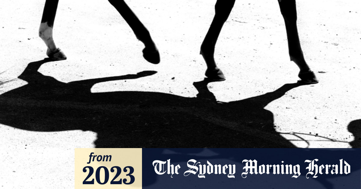 Grafton races Monday: Power Man primed for Donna Grisedale as Highway ...