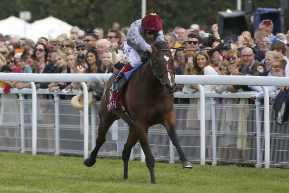 Scone races Monday: Shalaa to write fresh chapter with Mobstar and Shalstar